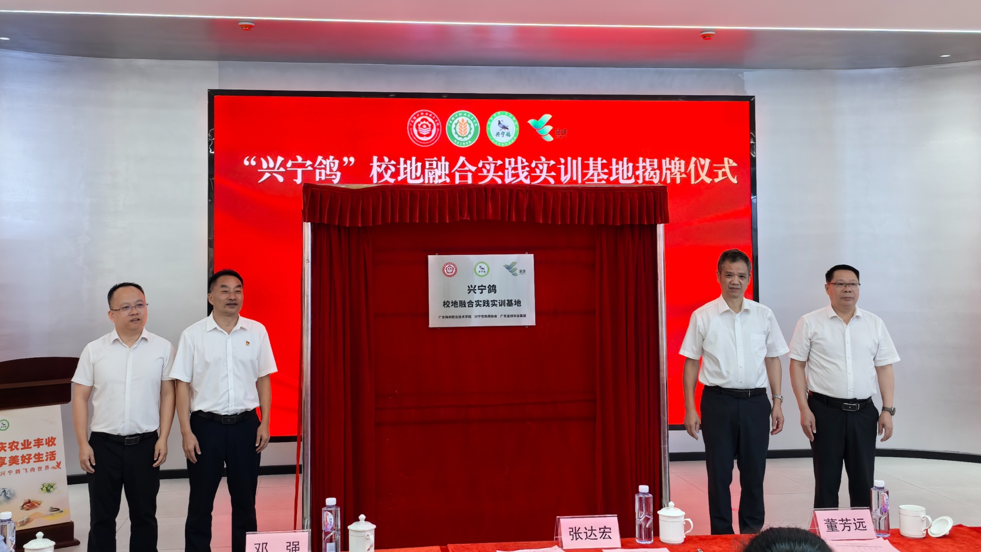广东频道·央广网