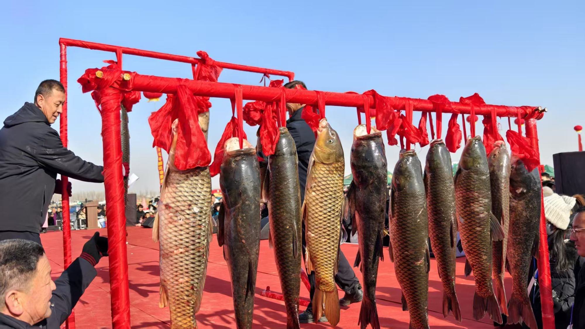 黑龙江频道·央广网